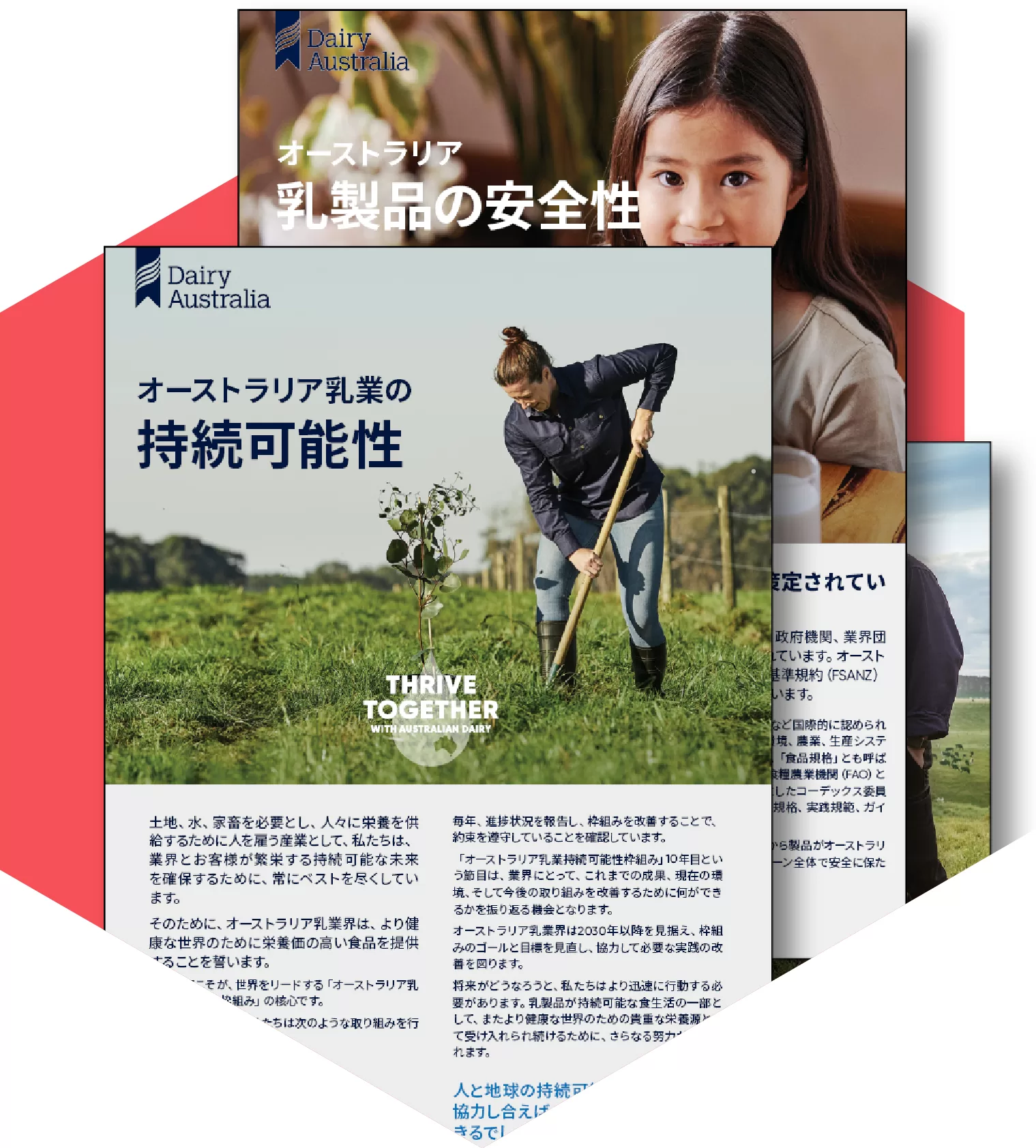 Specialised Chinese Translation Services - Chin Communications